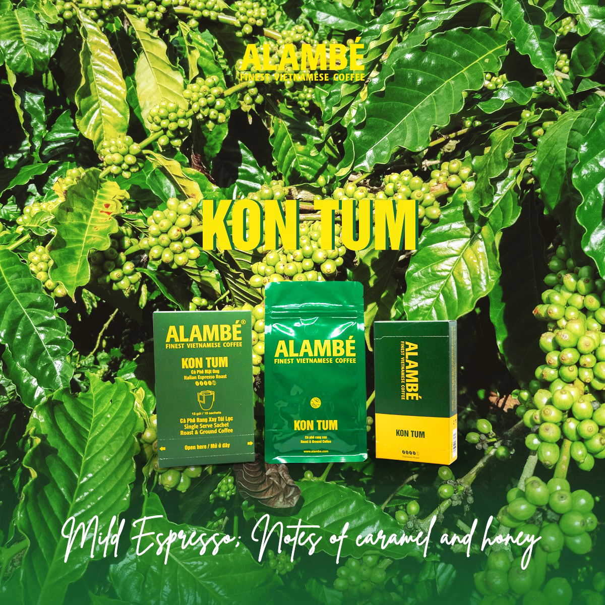 Cà Phê Phin Giấy Túi Lọc Kon Tum Alambé - Single Serve Drip Coffee ...